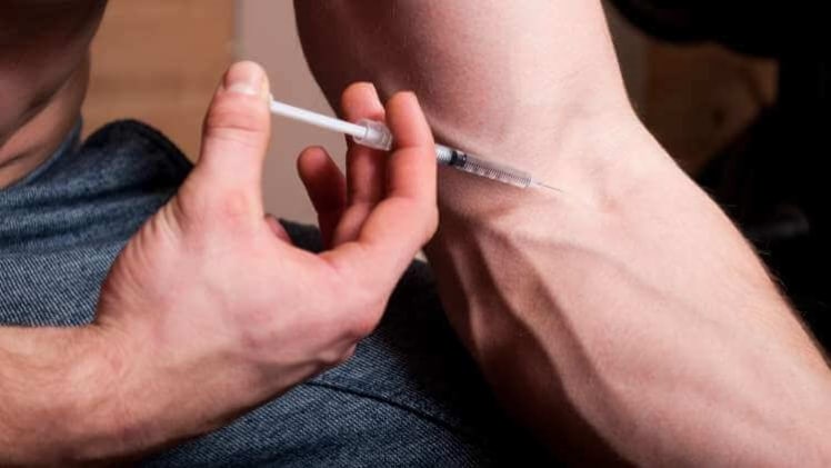 Taurine Supplementation Prevents Testicular Damage In Anabolic Steroid ...