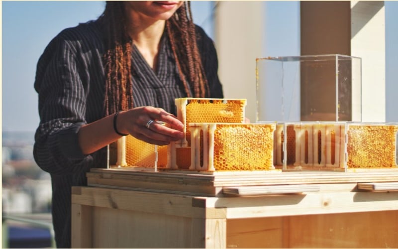 5 Unusual [And Cheap] Hobbies That Could Captivate You